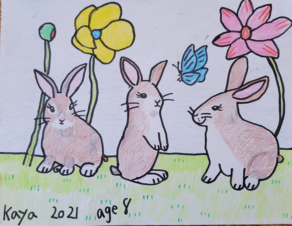 Spring Coloring Contest – Buckeye House Rabbit Society