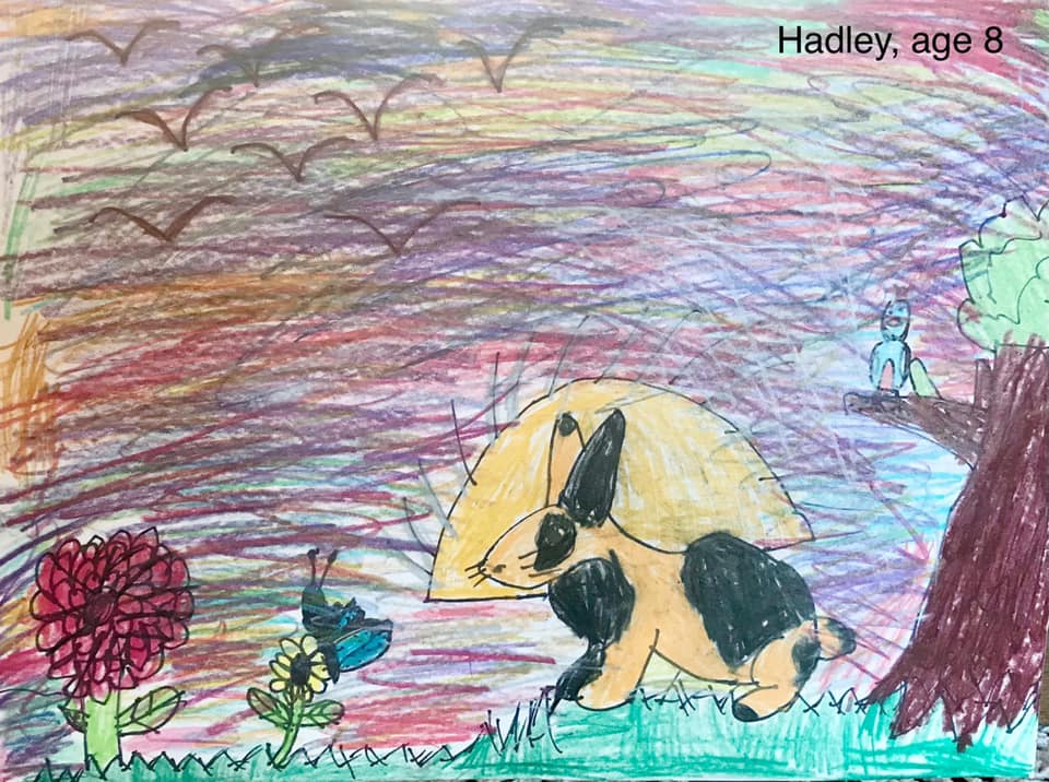 Spring Coloring Contest – Buckeye House Rabbit Society